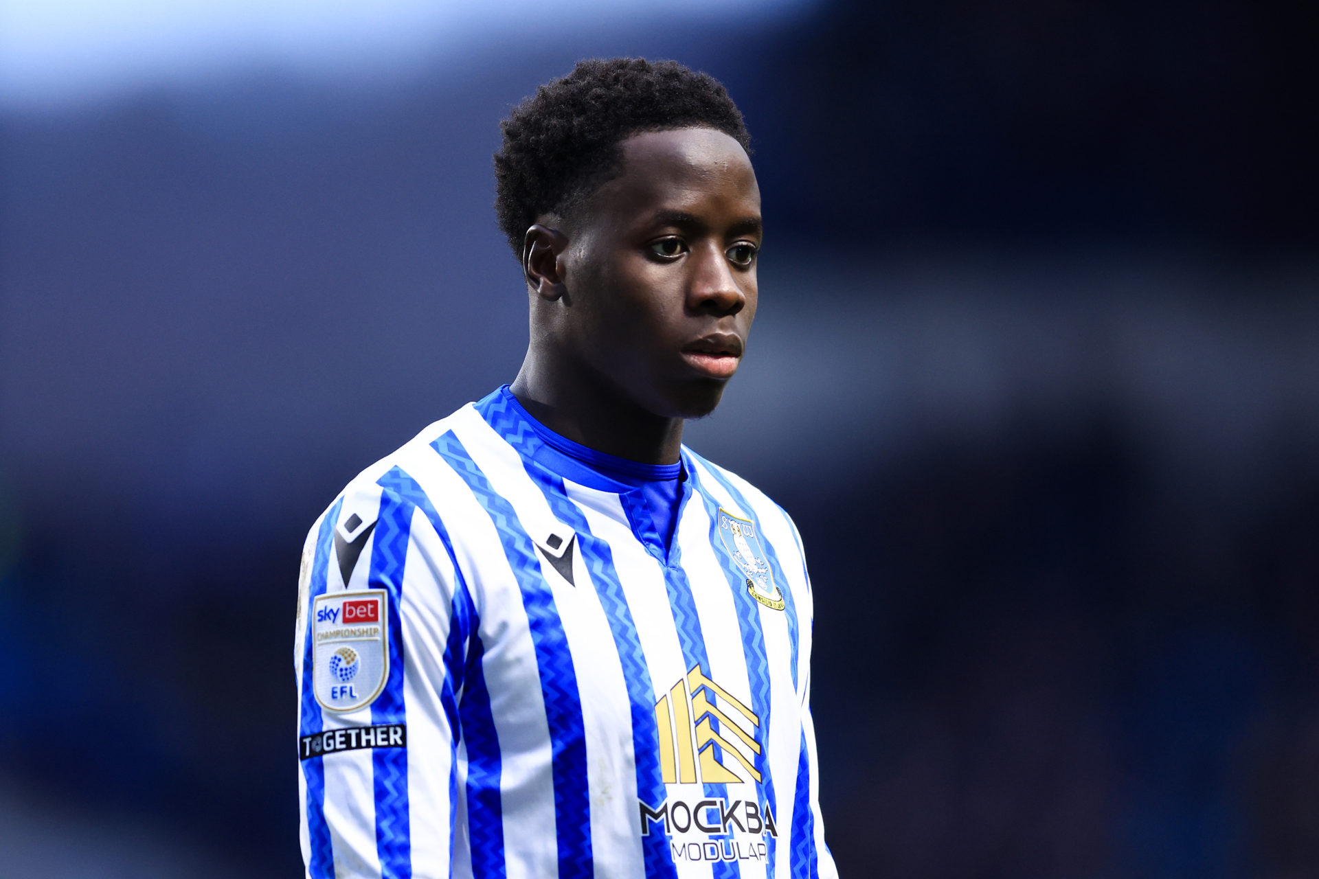Championship expert shares Burnley vs Sheffield Wednesday score ...