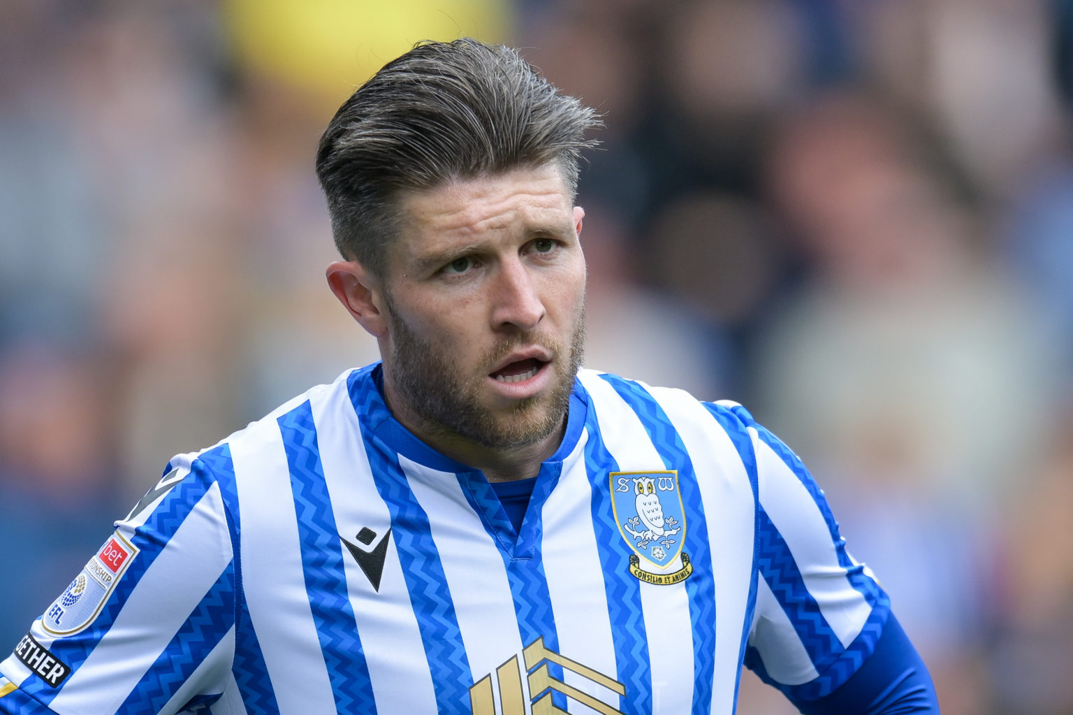 Josh Windass shares key reason why Danny Rohl is the best manager he's ...
