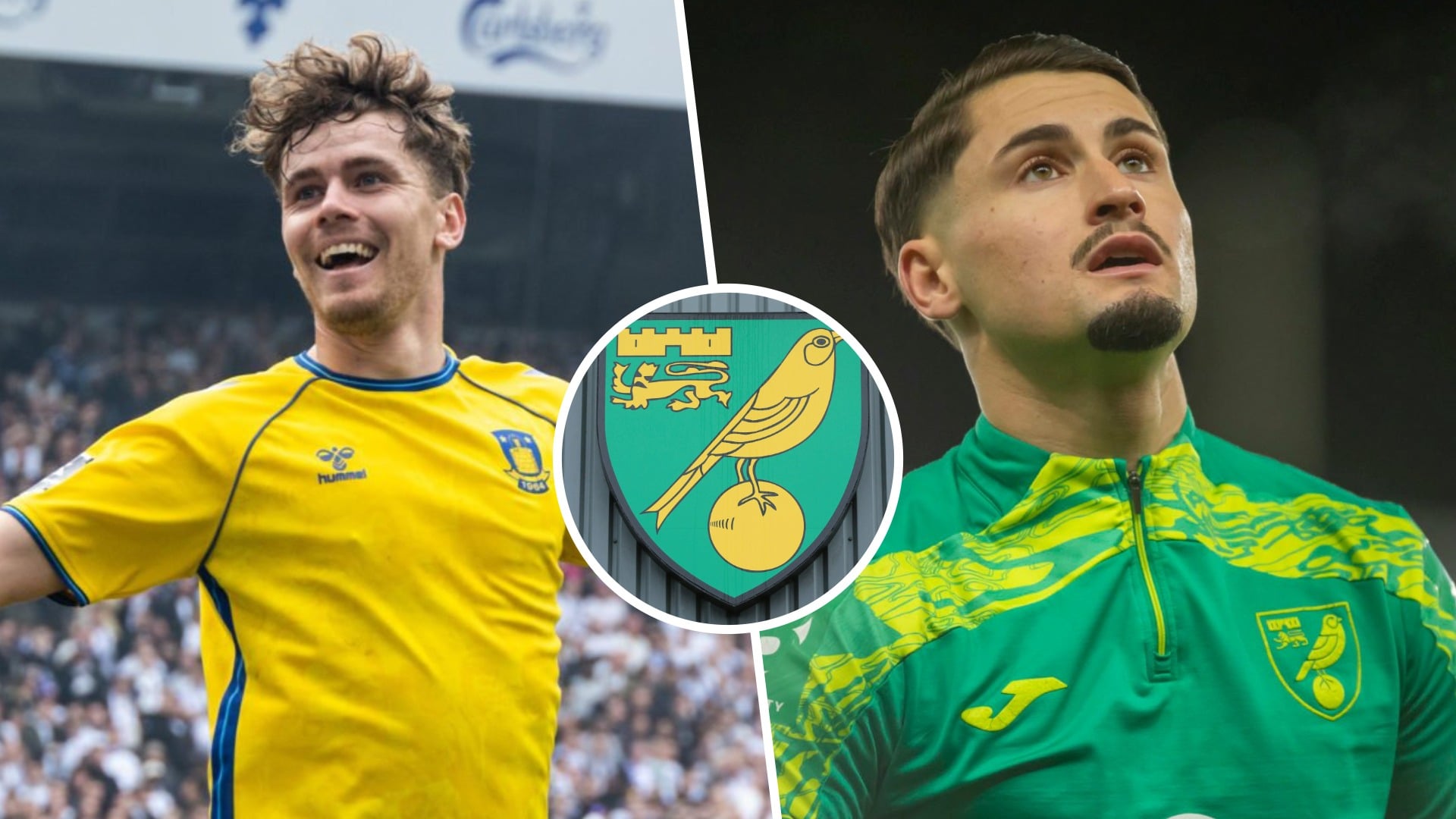 All confirmed Norwich City transfers in and out this summer