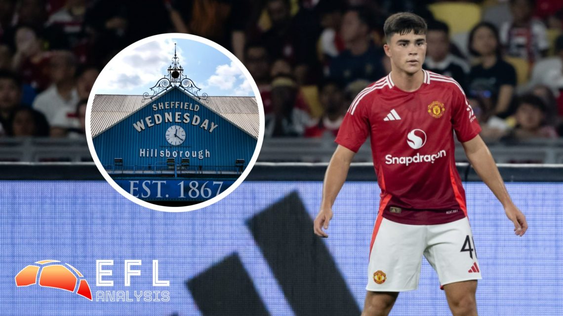Sheffield Wednesday fans make up their mind on Man United loan man ...
